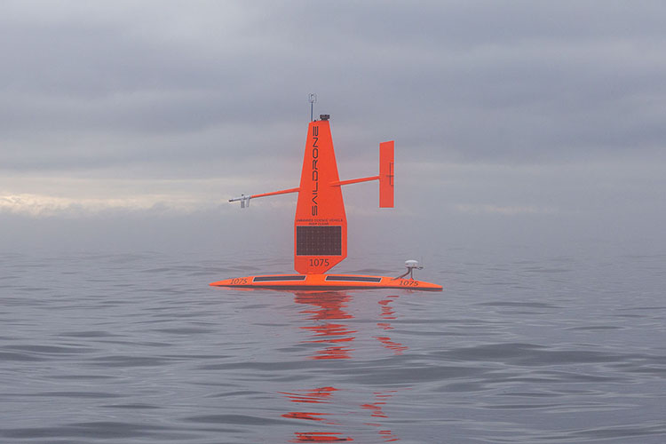 Acoustic Sensors and Uncrewed Vehicles Protect Marine Mammals – Saildrone
