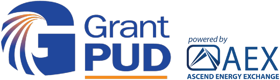 Grant PUD All Source RFP | 2024 RFP Submission Form