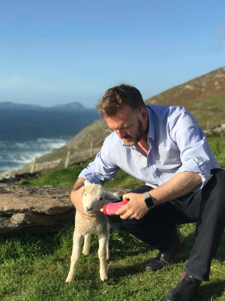 Native Irish Animals - Essential Tours