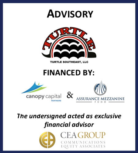 About Us | CEA Group | Investment Banking & Advisory