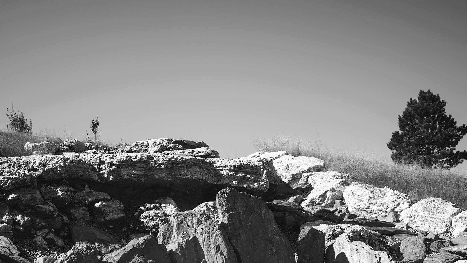 Contact Us | Loftus Dental in Sturgis, SD