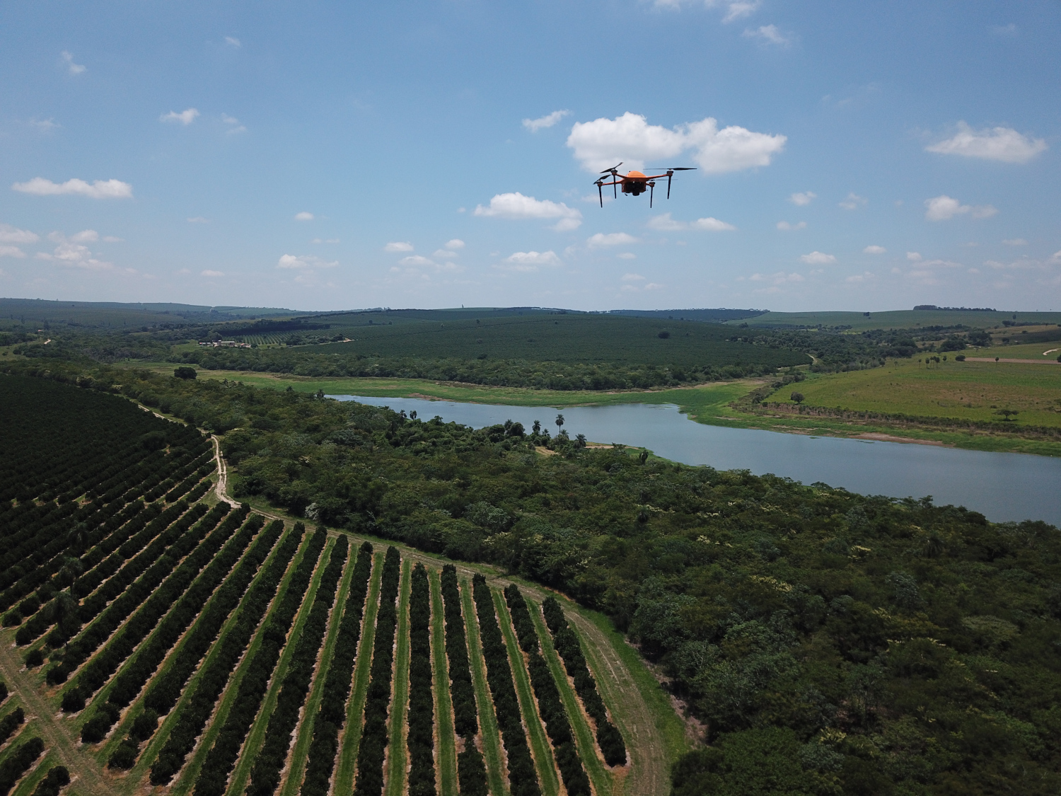 SeeTree | Make the most of every tree