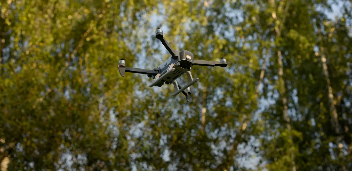 SeeTree | Make the most of every tree