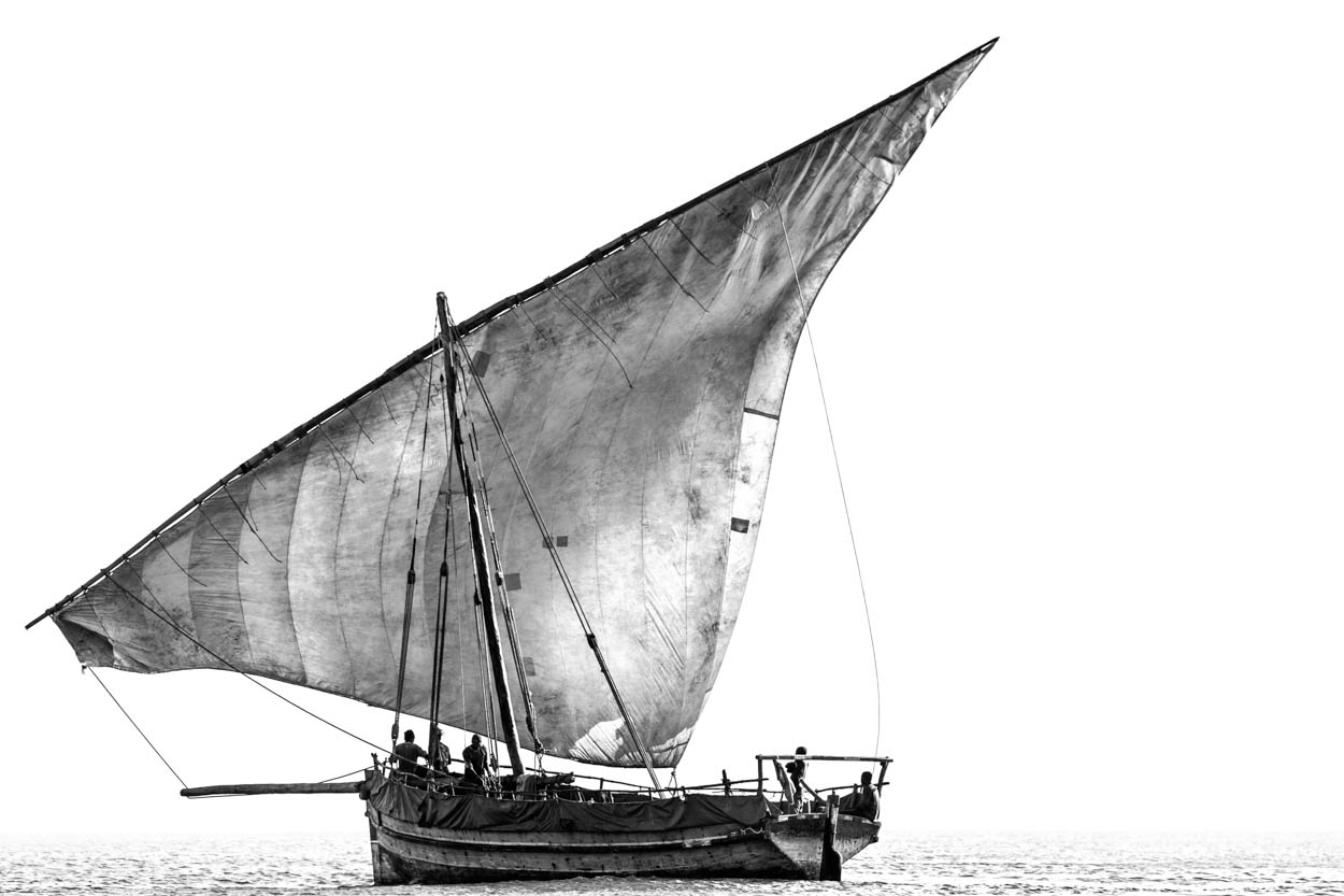 David Ballam | Habachy Designs