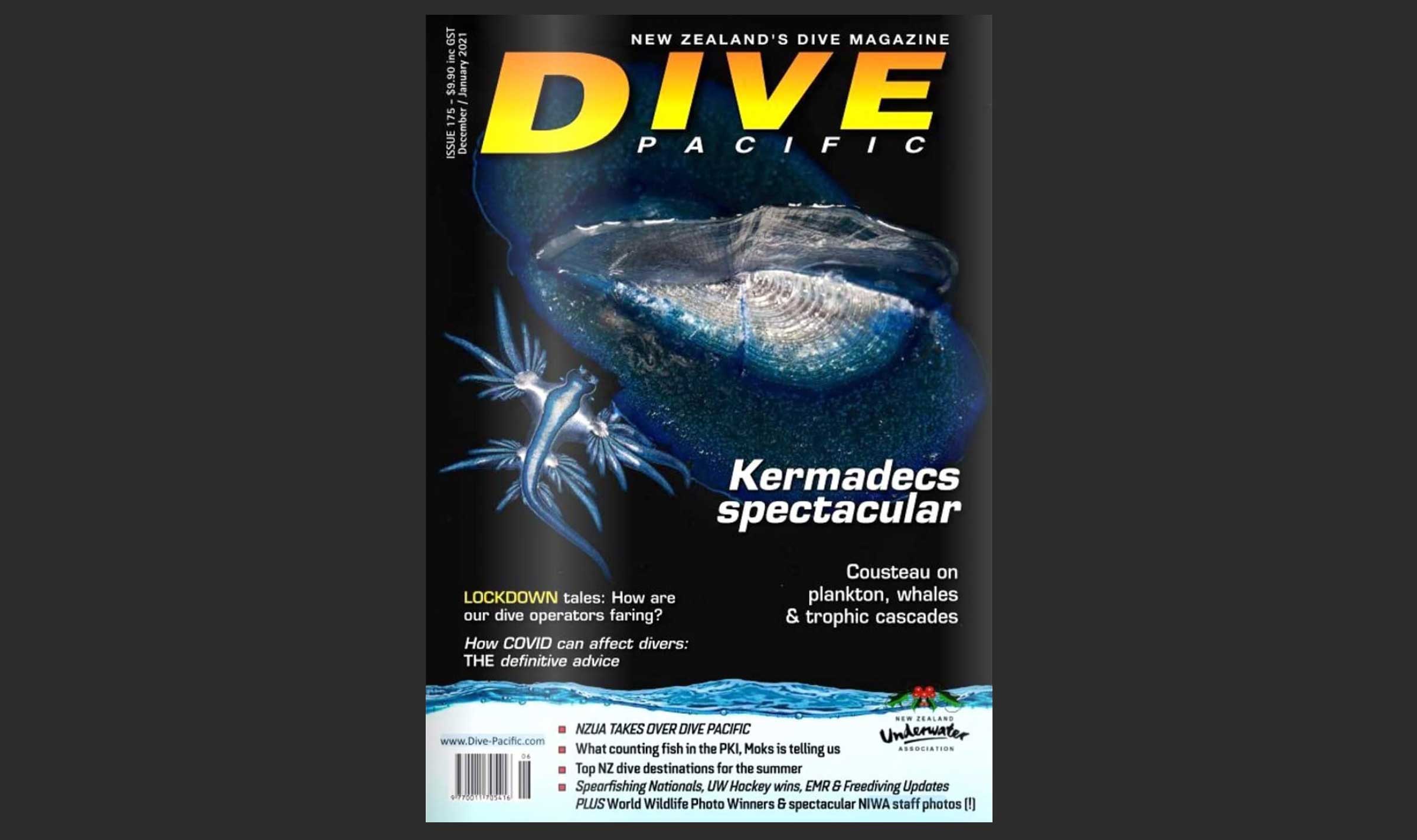 Enjoy Dive Pacific magazine – on us!
