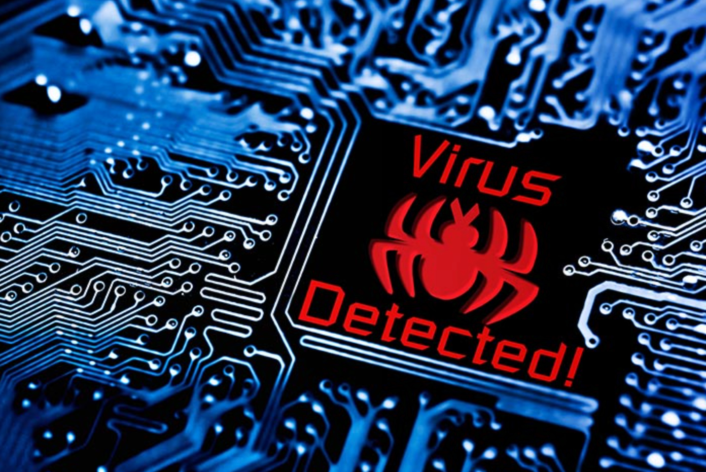 5 Things You Should Know About Malware