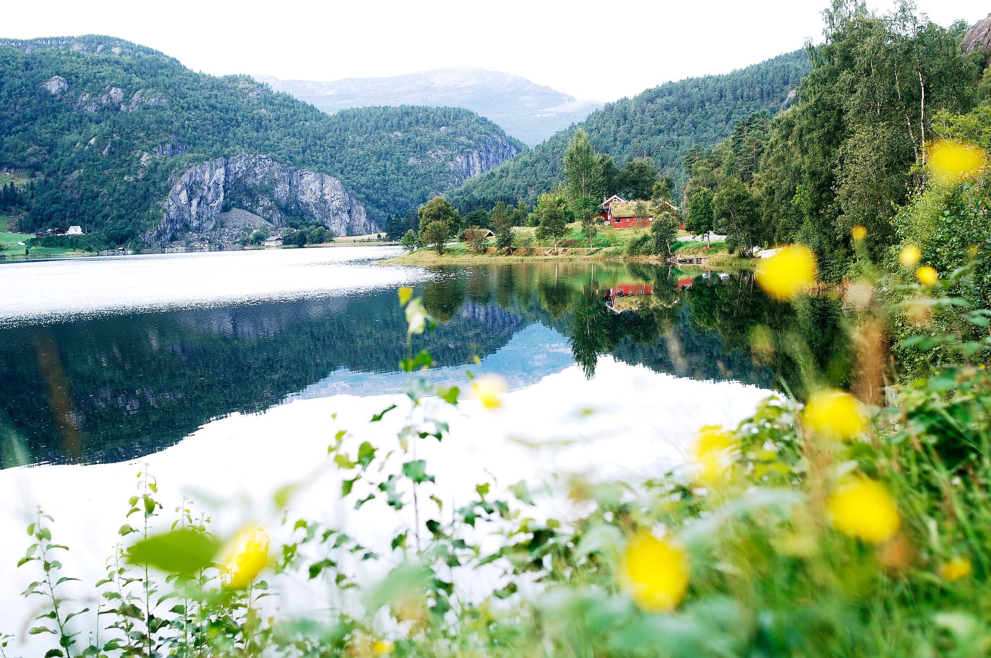 Innlandsfiske i Suldal