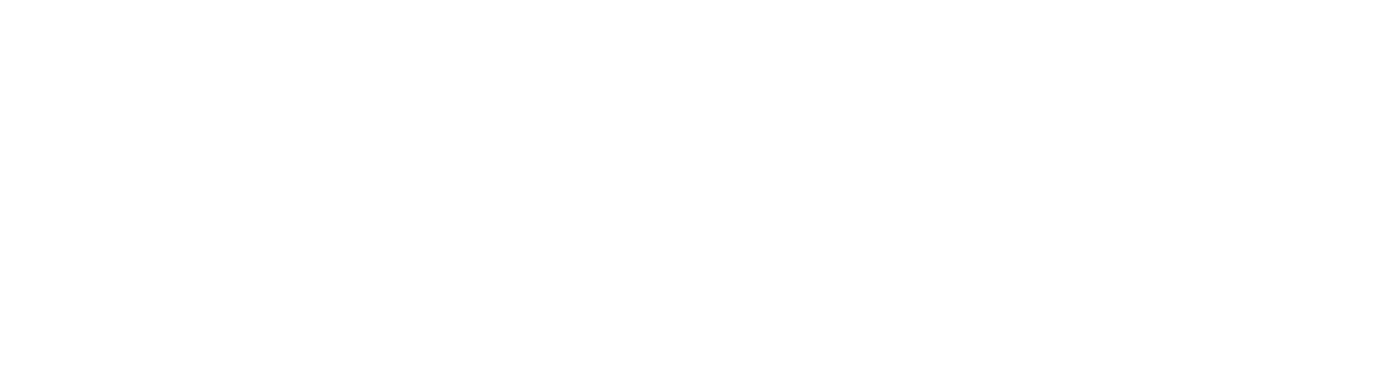 RapidID: Instant Identity Verification Services