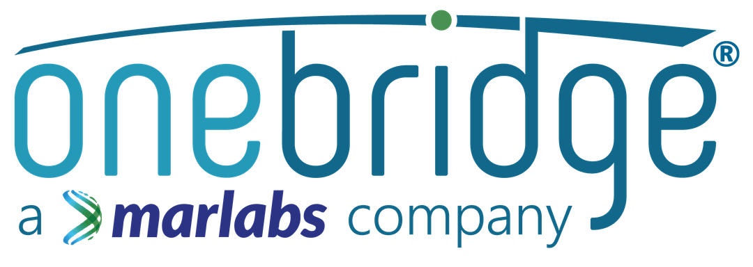 Data Analytics Consulting | Onebridge