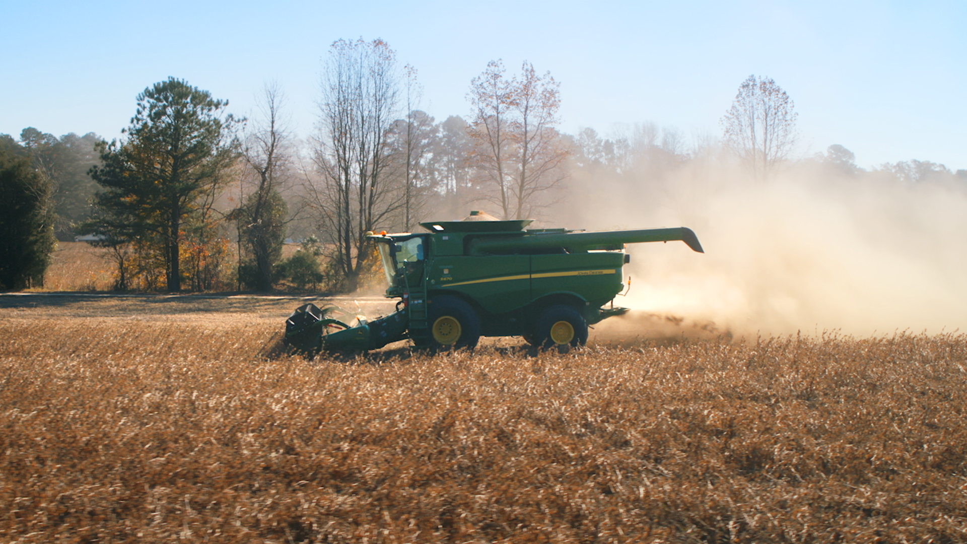 Advance Professional Family – ALCHEMY Creative