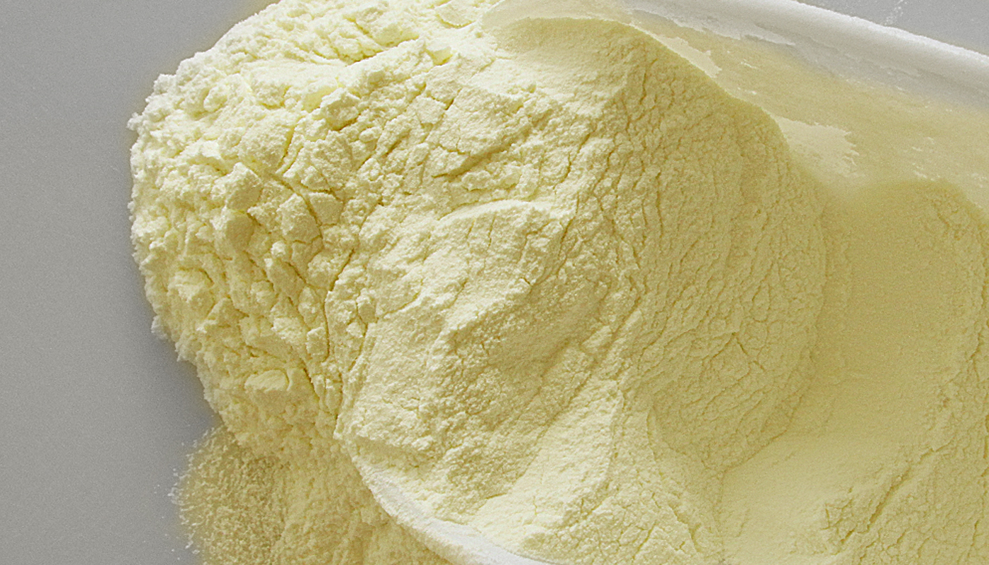 Completo "L" Plus - Elenka