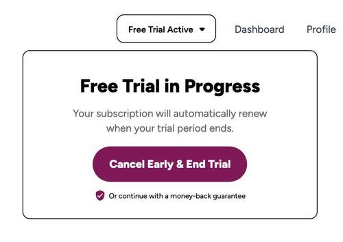 Free Trial Banner | Free Webflow Component