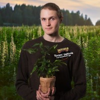 Memberstack & Webflow | Launch Fast, Scale to Millions