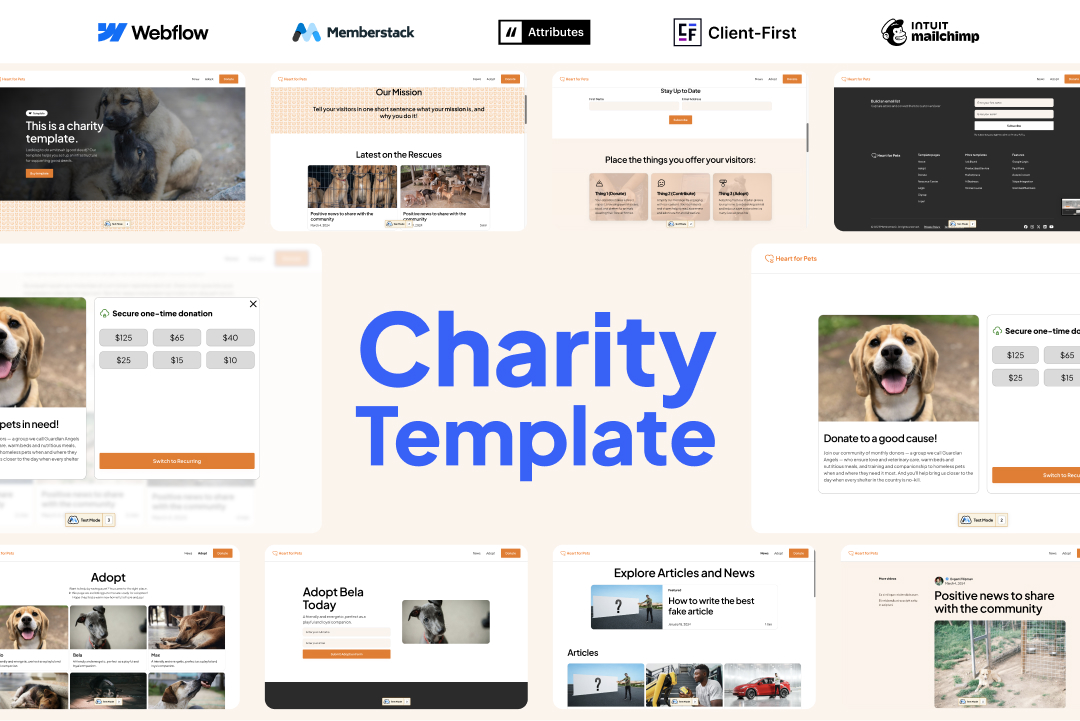 Charity Template | Webflow Template