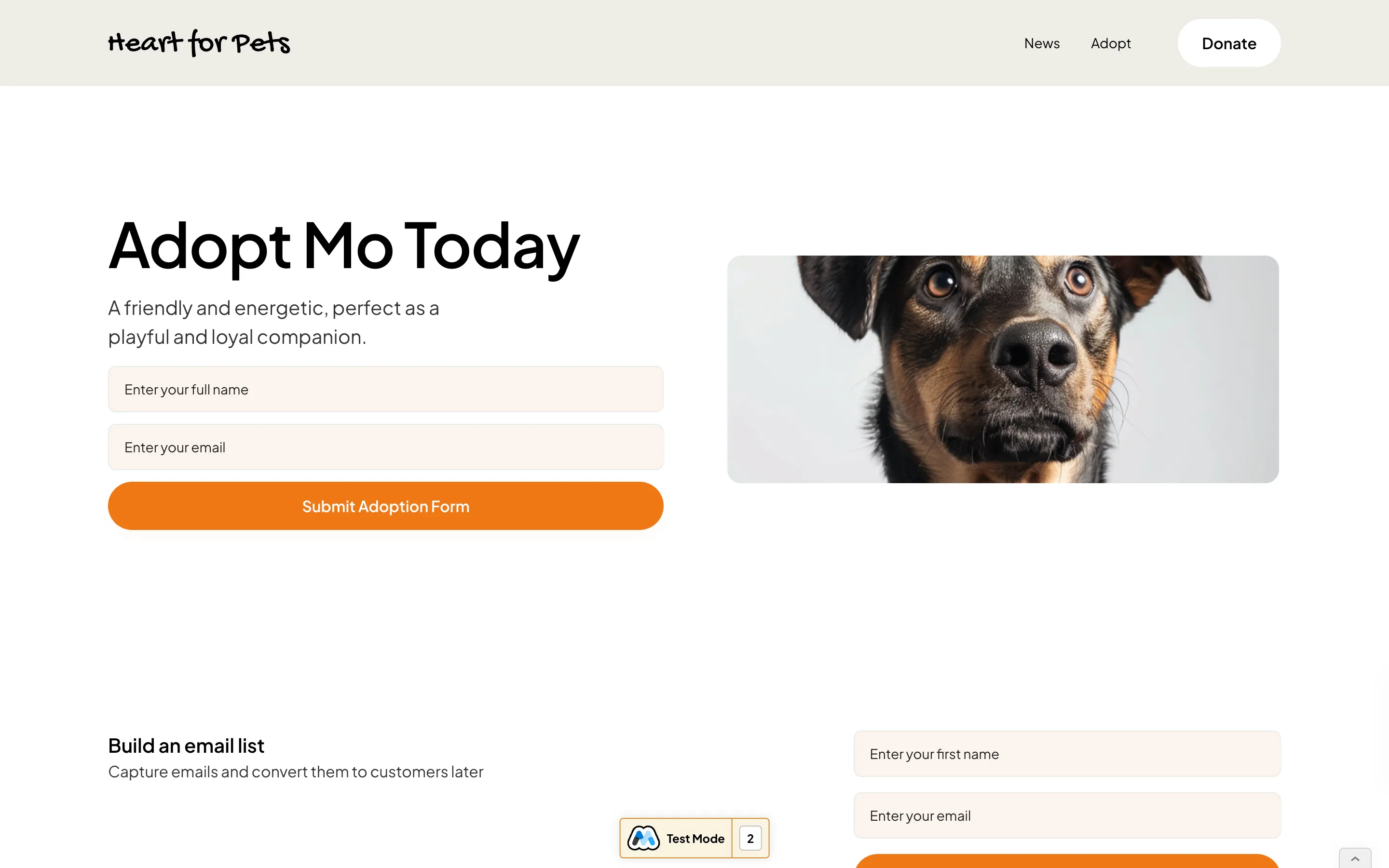 Webflow Membership Templates | Memberstack