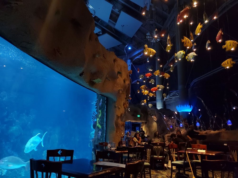 11 Trendiest Themed Restaurants in Denver That You Need to Visit