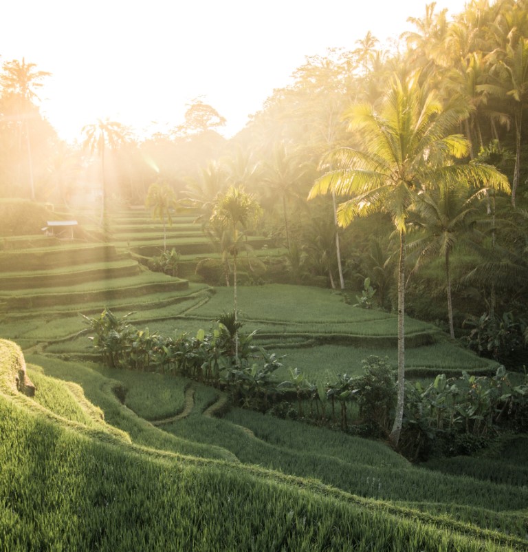 An Expat's Guide to Living in Bali, Indonesia - A Way Abroad