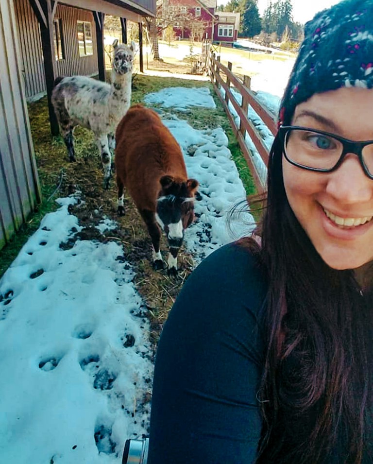 7 Steps to Getting the Best House Sitting Jobs - A Way Abroad