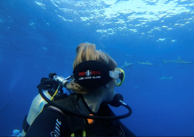 How to Become a PADI Dive Instructor - A Way Abroad