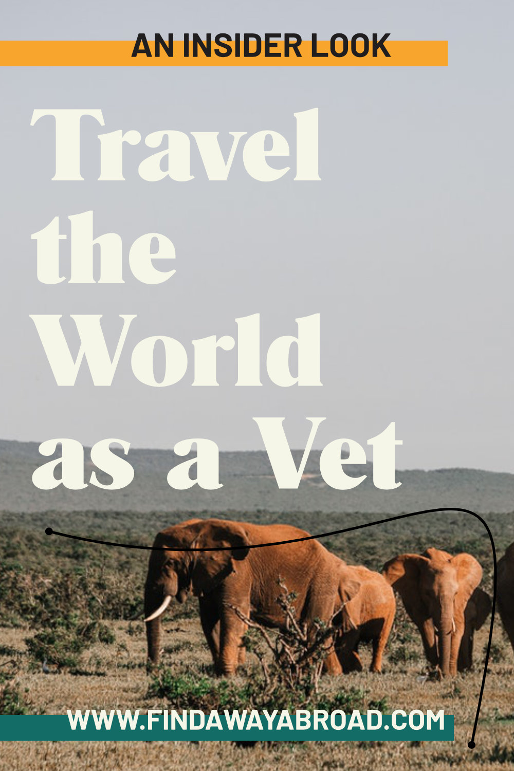 How to work abroad as a Veterinary Nurse - A Way Abroad