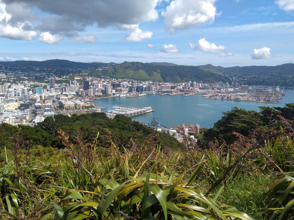 15 Unmissable Things to Do in Wellington, New Zealand - A Way Abroad