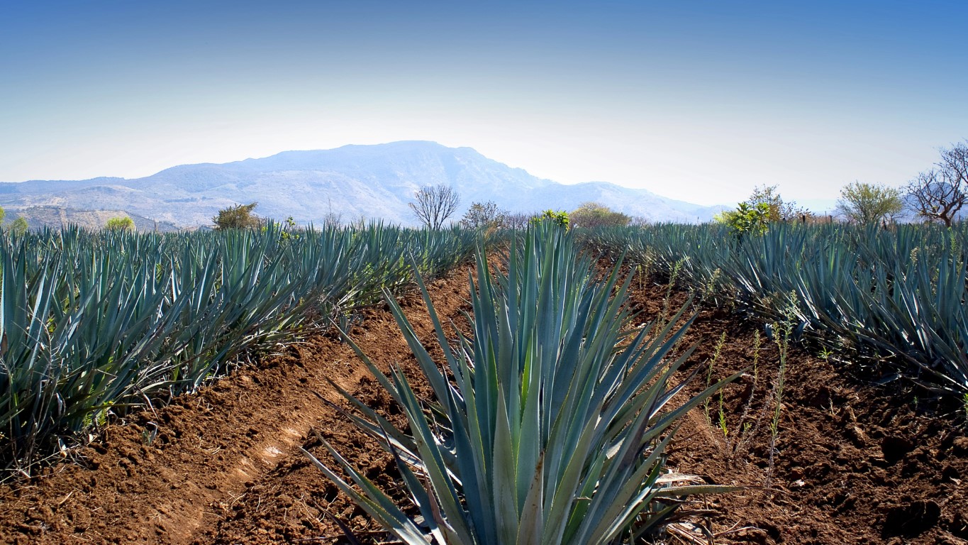 8 Central Mexico Cities to Add to Your Mexico Travel Itinerary - A Way ...