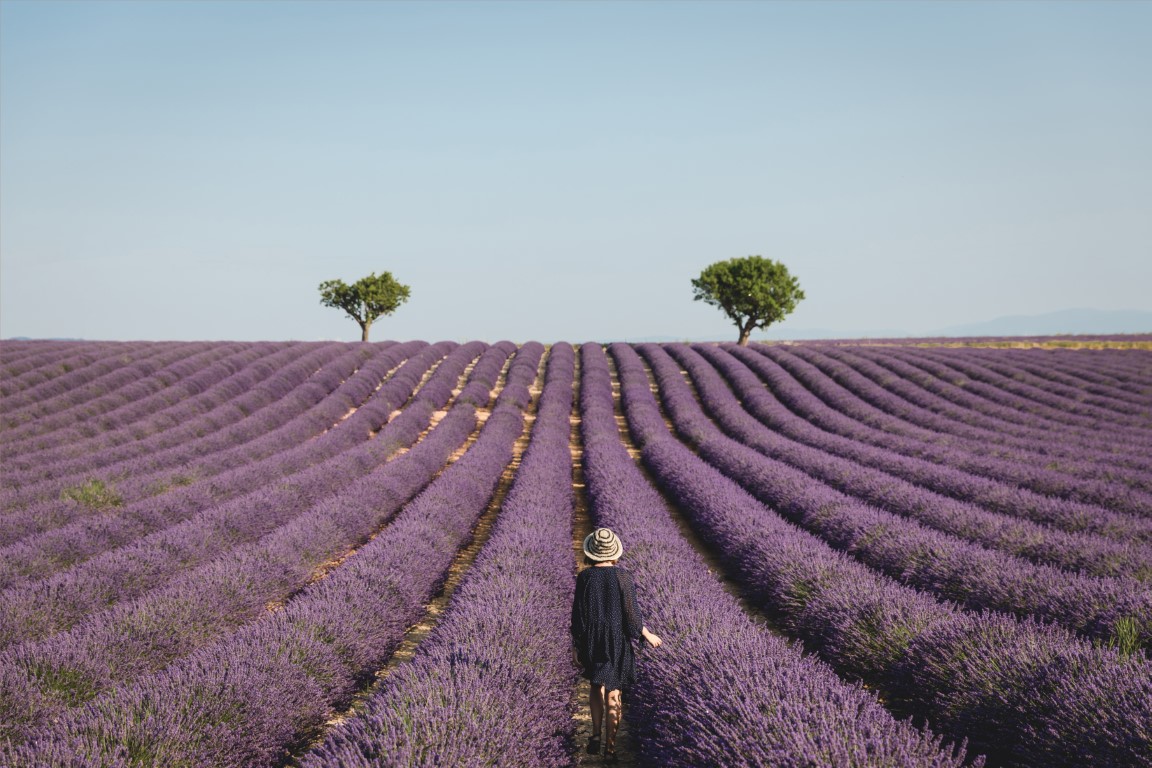 How to Move to France: The Ultimate Guide - A Way Abroad