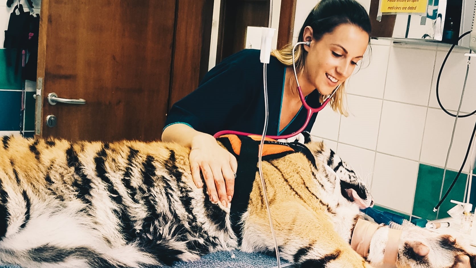 11 Best Jobs Abroad to Easily Work Overseas - A Way Abroad
