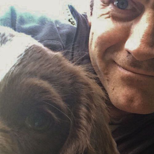 South Devon Woodland Management: Sustainable Woodland & Forestry Management