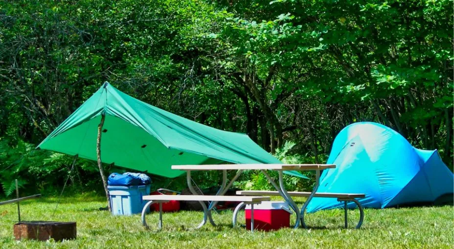 Pine River Campground, Canoe, Kayaking on the Pine River and Manistee ...