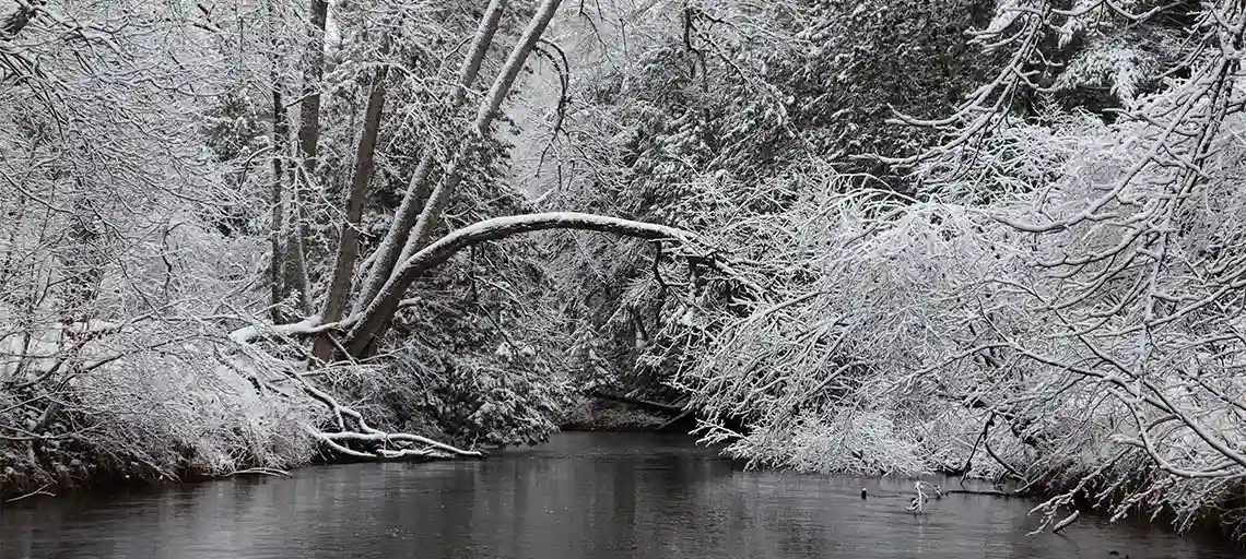 Pine River Campground, Canoe, Kayaking on the Pine River and Manistee ...