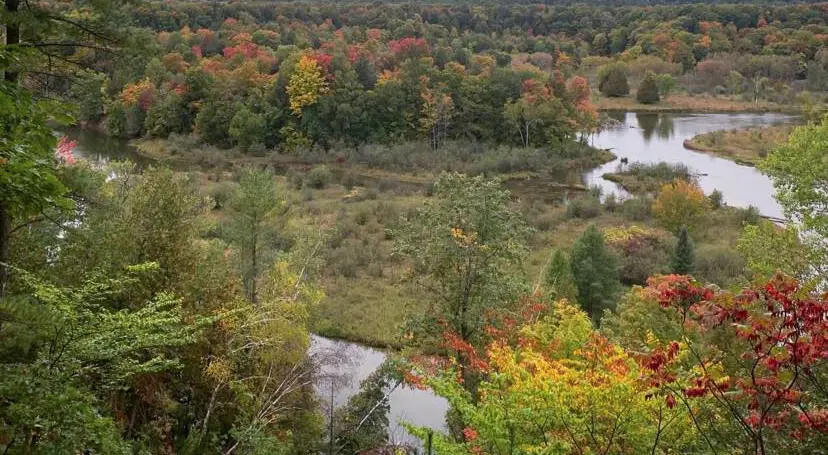 Pine River Campground, Canoe, Kayaking on the Pine River and Manistee ...