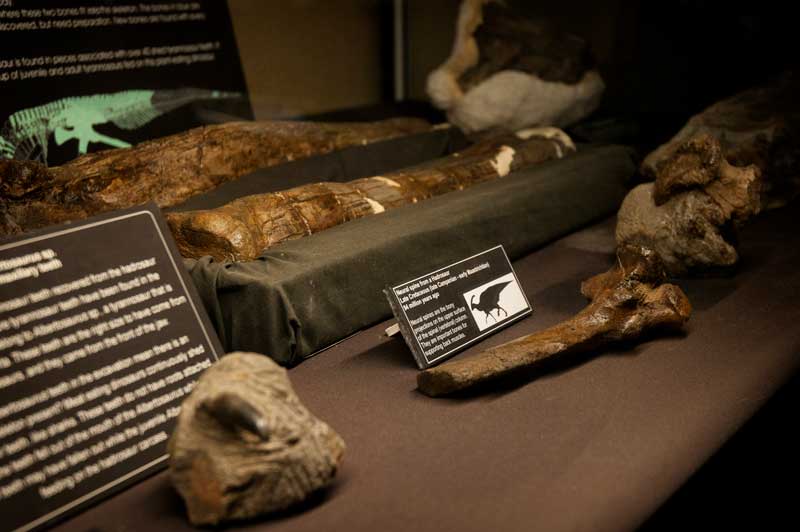 Tumbler Ridge Museum Foundation