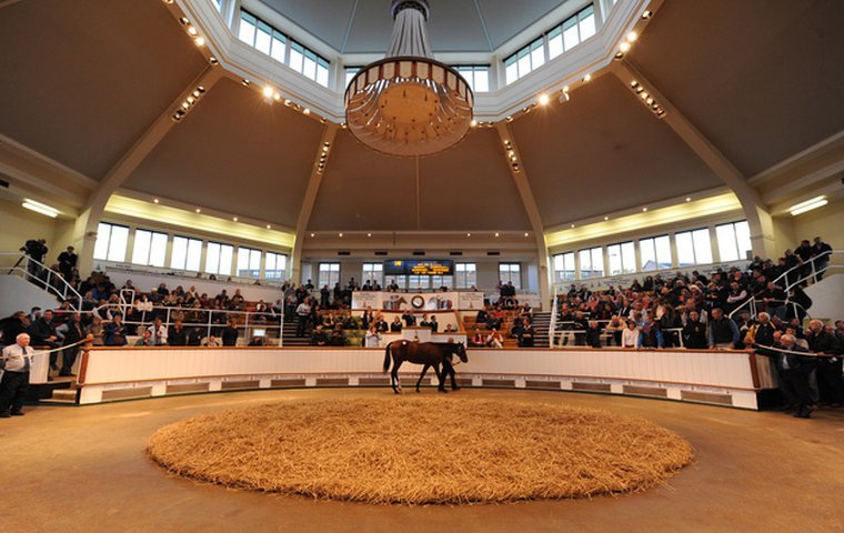 Jack Regan (GB) secured to race in Australia | Clarke Bloodstock