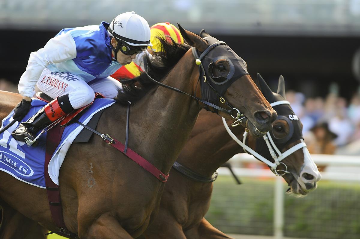 Jack Regan (GB) secured to race in Australia | Clarke Bloodstock