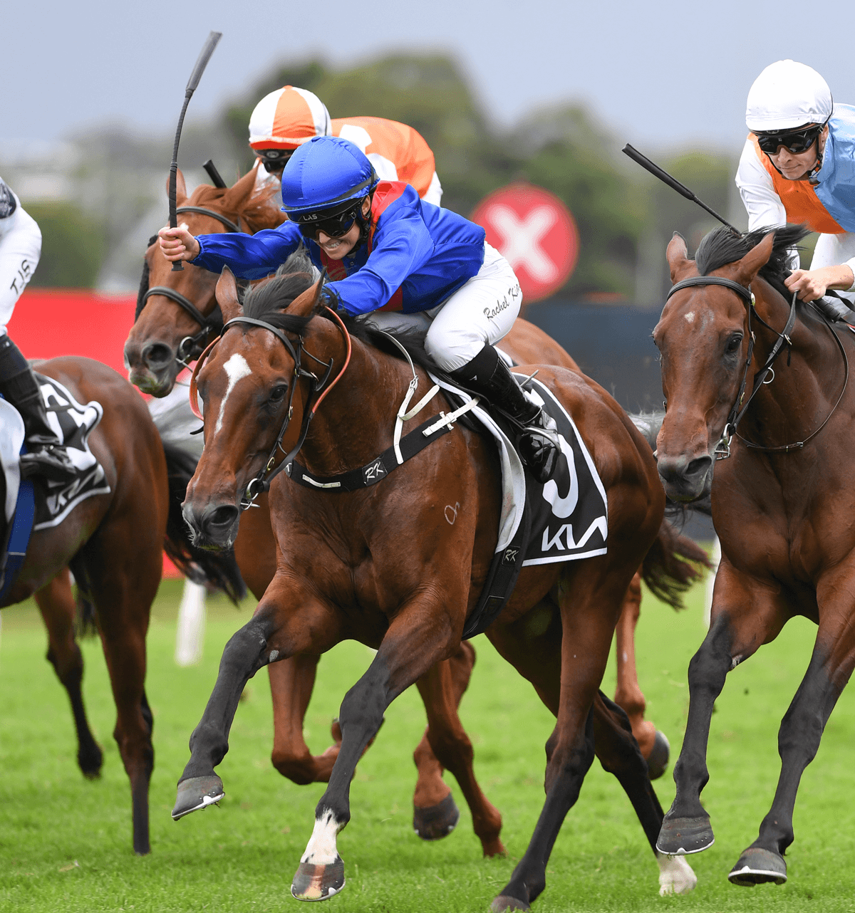 Lope De Vega's Arapaho Captures Tancred Stakes | Clarke Bloodstock