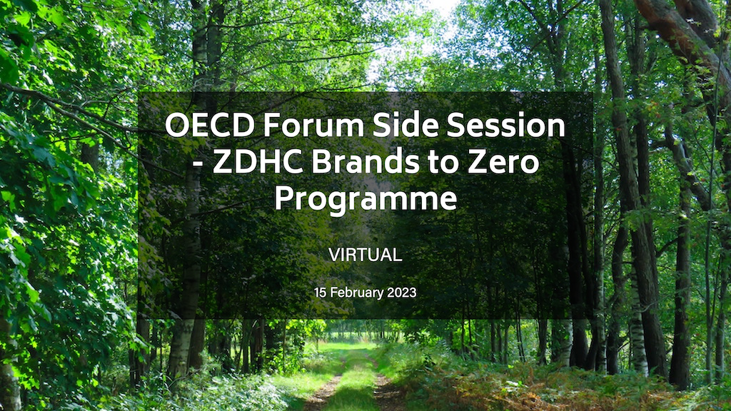 OECD Forum Side Session - ZDHC Brands to Zero Programme