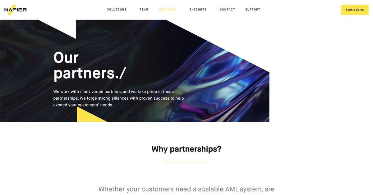 Napier AI: Partners