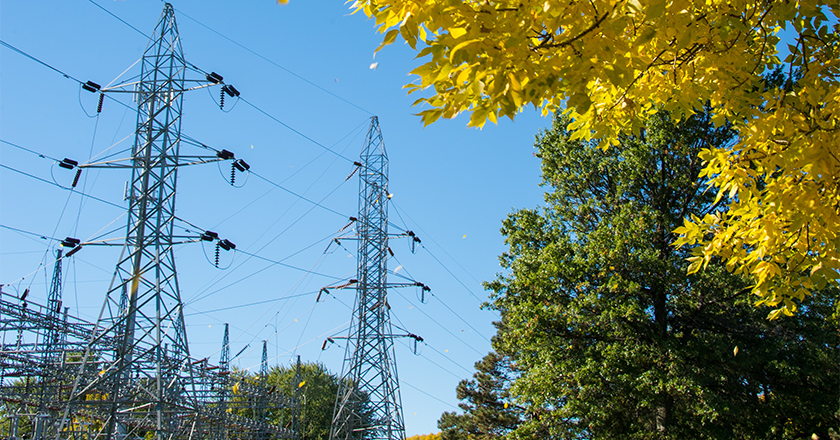 How Vegetation Management Keeps the Grid Going - - Vegetation ...