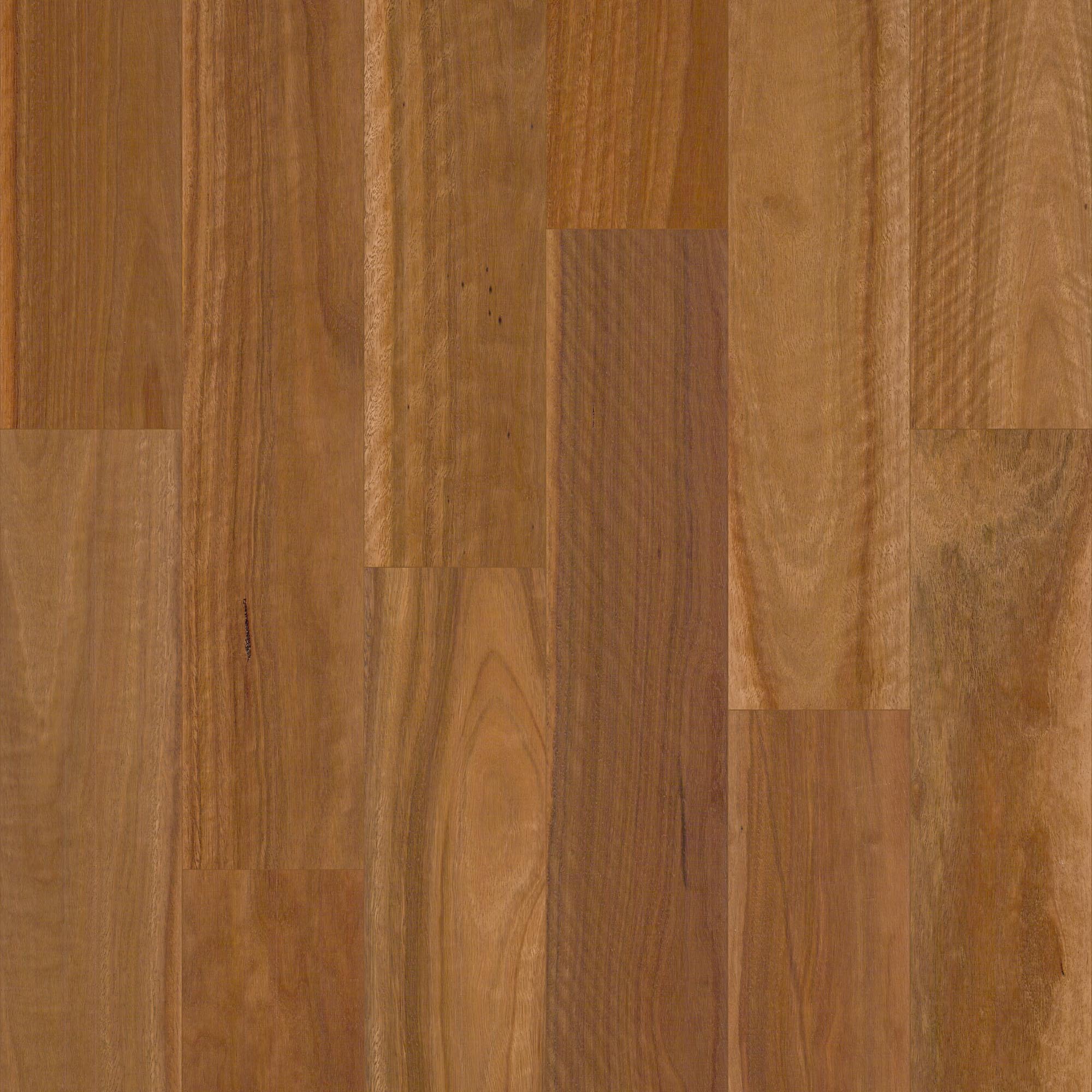Evergreen Brushed Matte - Spotted Gum