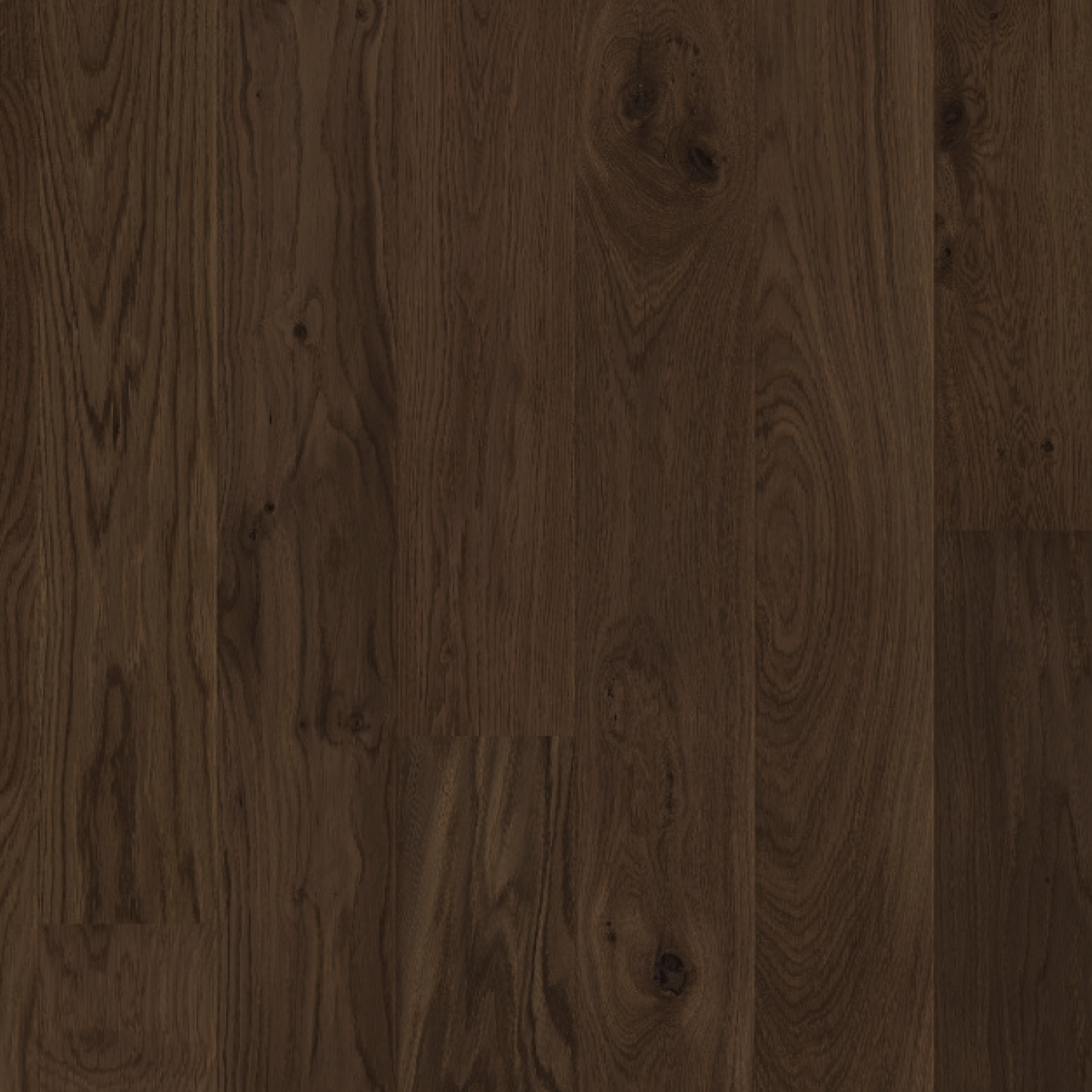 HydroPro European Oak - Hazelnut