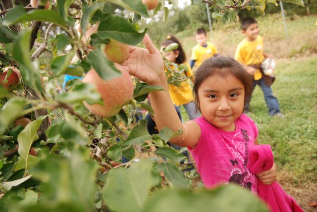 Farm to School Month Roundup: 31 Days of Action for Farm to School