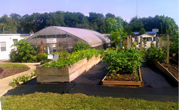 From farm to food truck, special needs students take Berry Good Farms ...