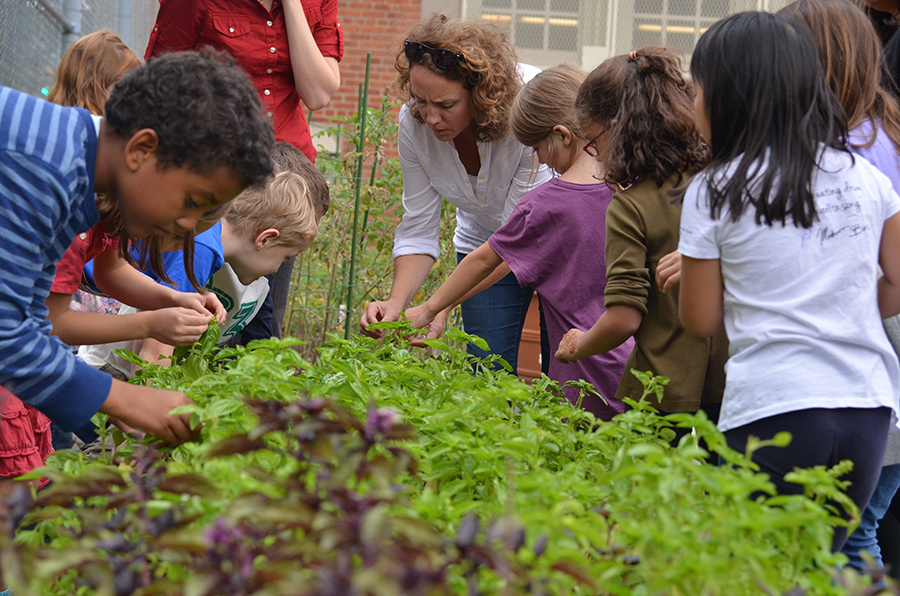Kids CAN make healthy food choices: Education is key