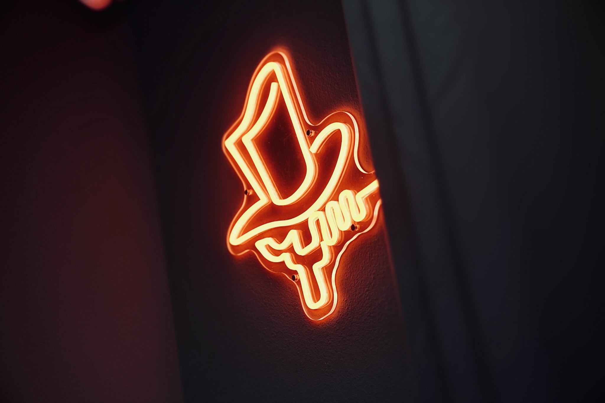 Baron Art Tattoo & Piercing Studio | Piercing | Long Beach