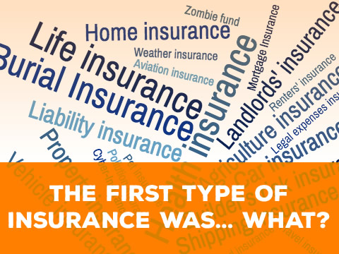 How Does Insurance Work?: How Insurance Started, How Your Premiums Are ...