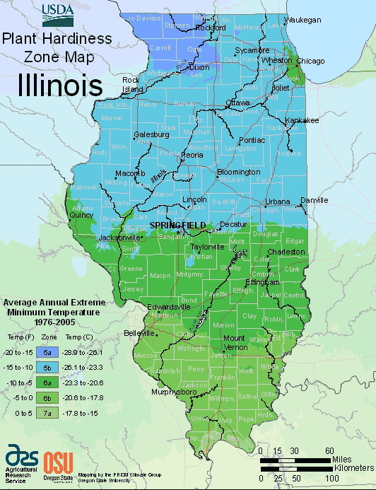 When Should I Start My Illinois Vegetable Garden?