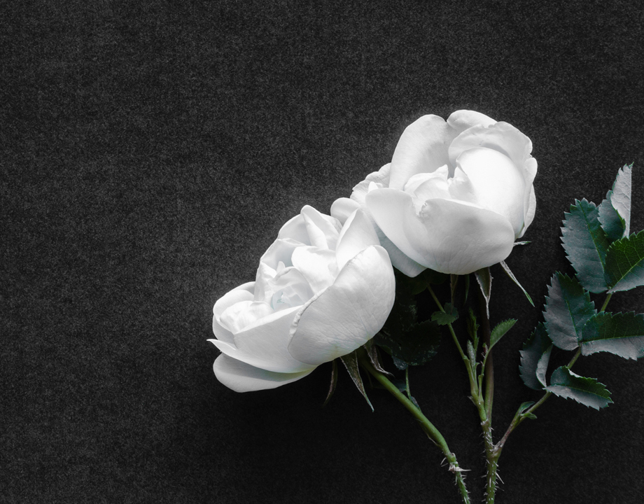 Does Social Security Cover The Cost Of My Funeral does-social-security-cover-the-cost-of-my-funeral