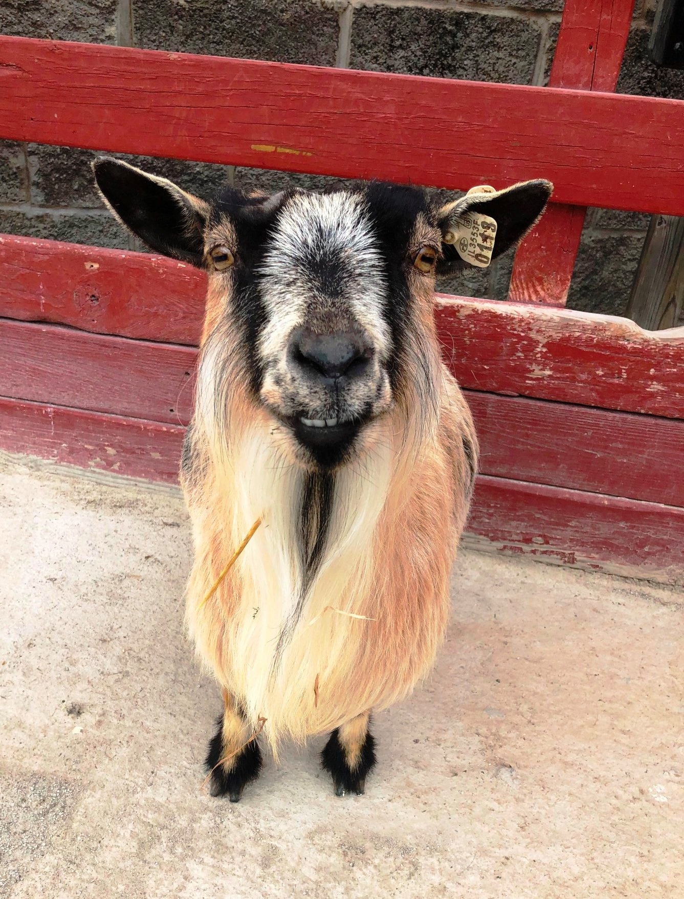 21 Best Things to Do In Decatur, IL