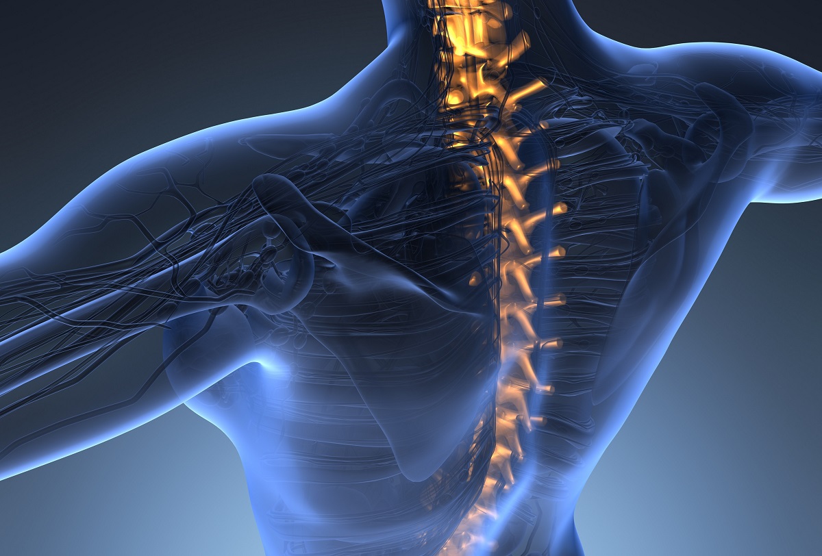 Zimmer Biomet Spinal Fusion and Long Bone Stimulator Recall